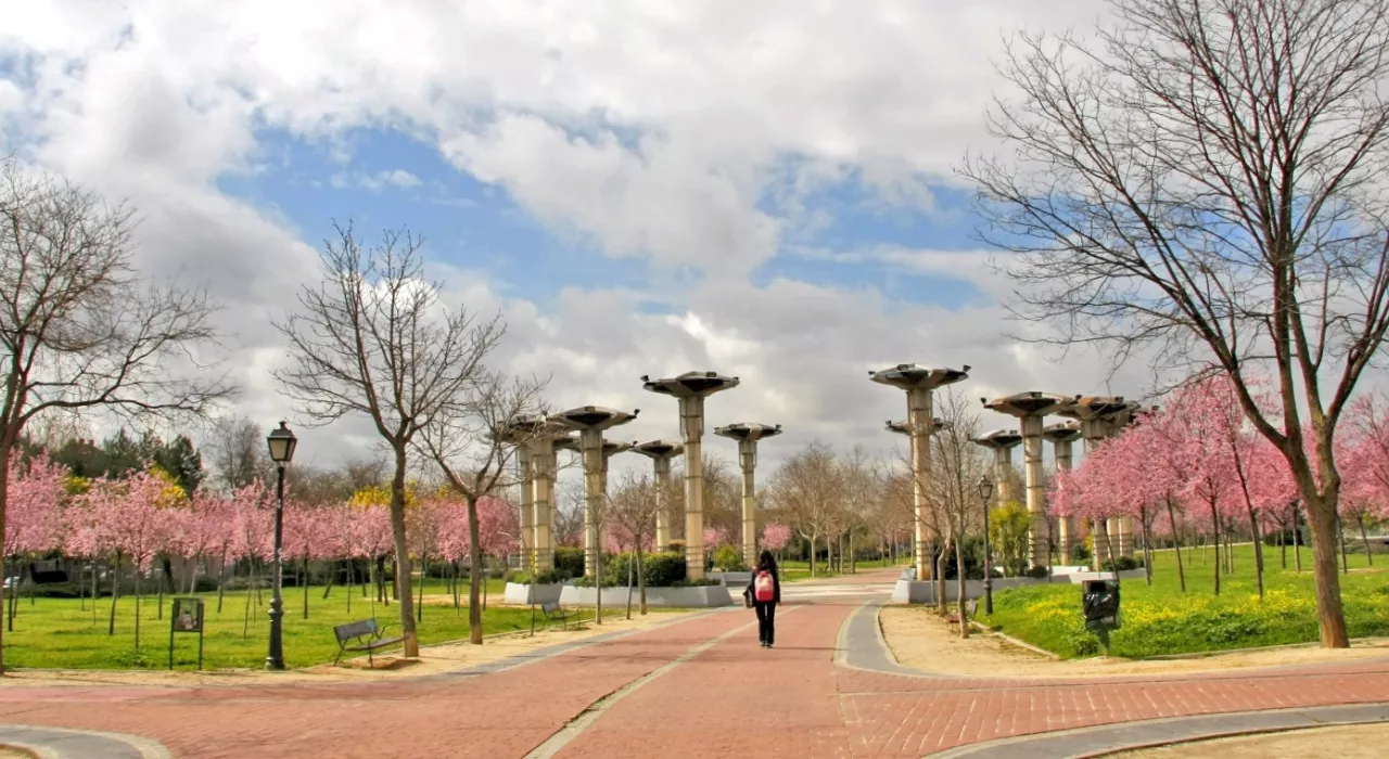 Parques y Jardines | Ayuntamiento de Alcorcón